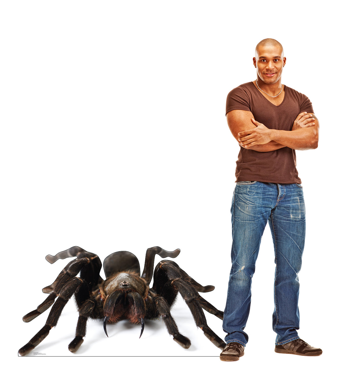 Giant Tarantula Life-size Cardboard Cutout #5216 – ThisisHollywood