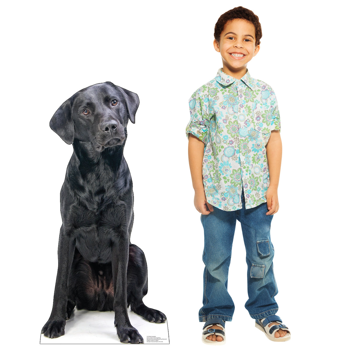 Black Labrador Life-size Cardboard Cutout #5187 – ThisisHollywood