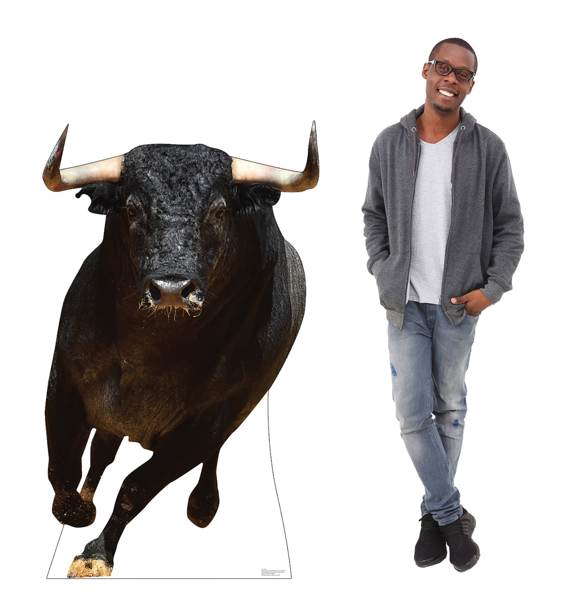 Bull Life-size Cardboard Cutout #5191 – ThisisHollywood
