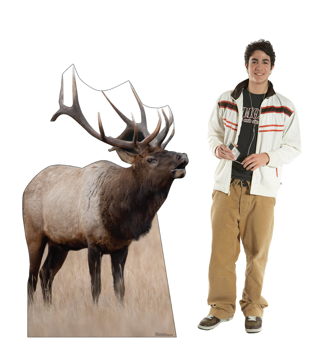 Elk Life-size Cardboard Cutout #5207 – ThisisHollywood