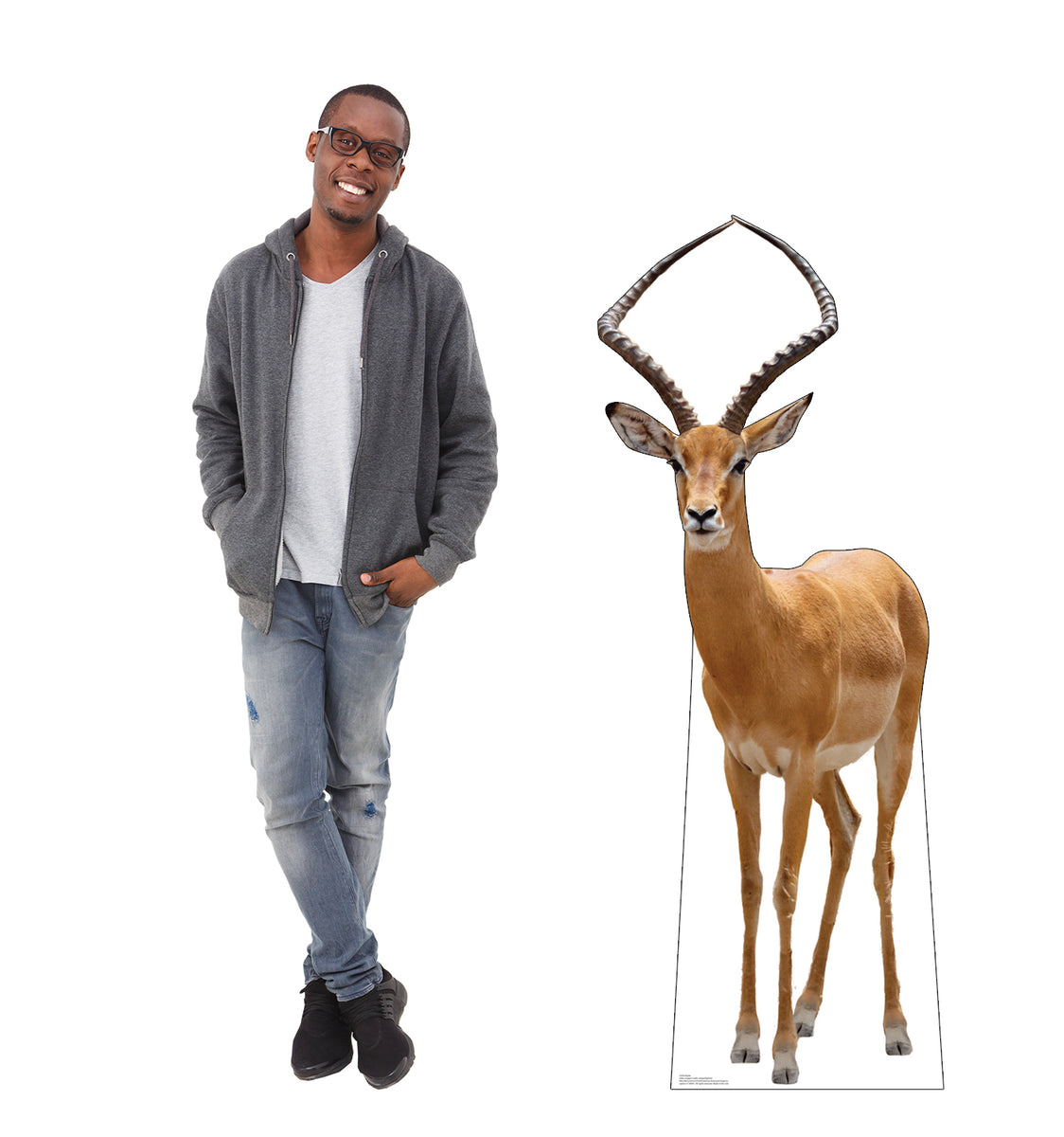 Impala Life-size Cardboard Cutout #5226 – ThisisHollywood