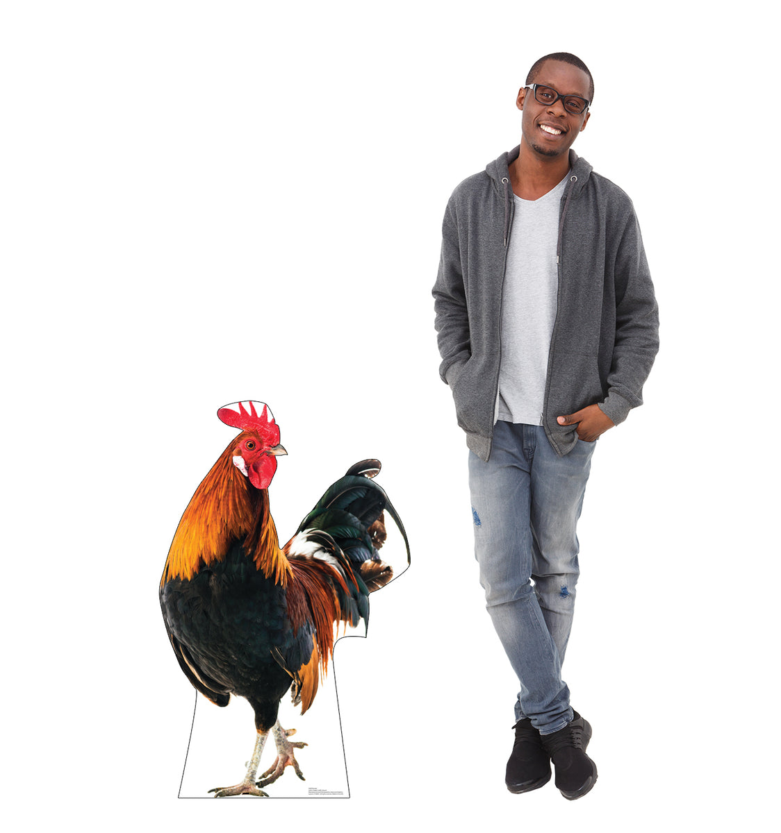 Life-Size Rooster Life-size Cardboard Cutout #5249 – ThisisHollywood