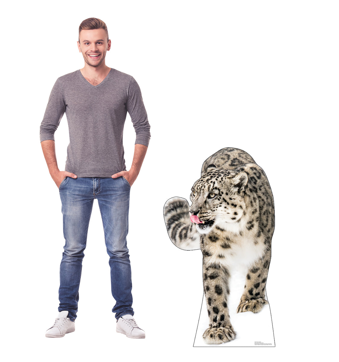 Snow Leopard Life-size Cardboard Cutout #5255 – ThisisHollywood